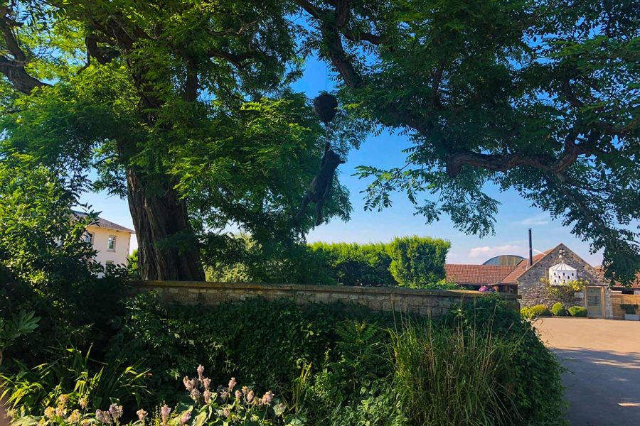 The Dovecote - Avon Farm Estate | Holiday Cottages